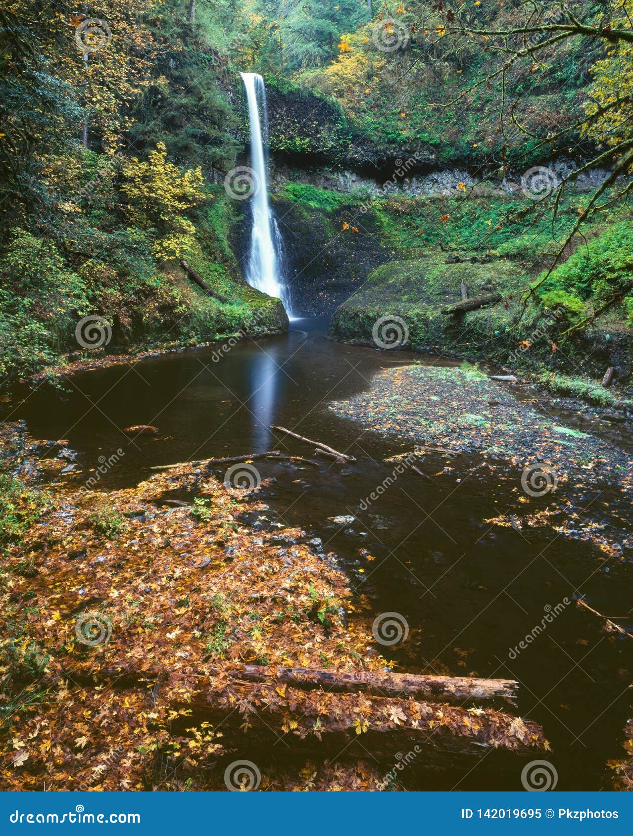 Fall, Middle North Falls, Silver Falls State Park Stock Image - Image ...