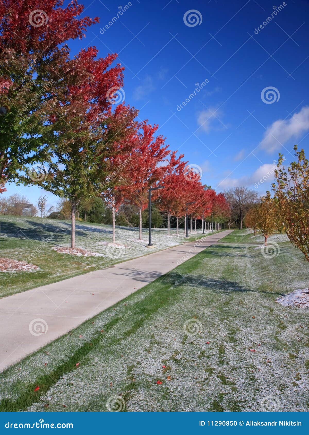 Fall in Minnesota with Sidewalk Vertical View Stock Photo - Image of ...
