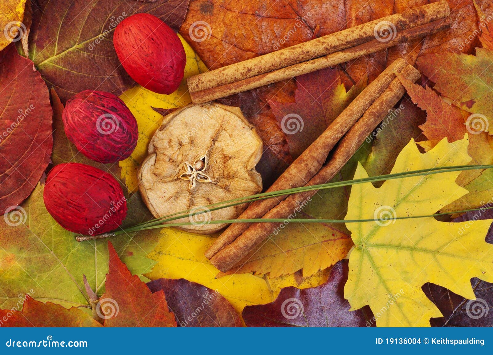 Fall Mix stock photo. Image of beautiful, colorful, colored - 19136004