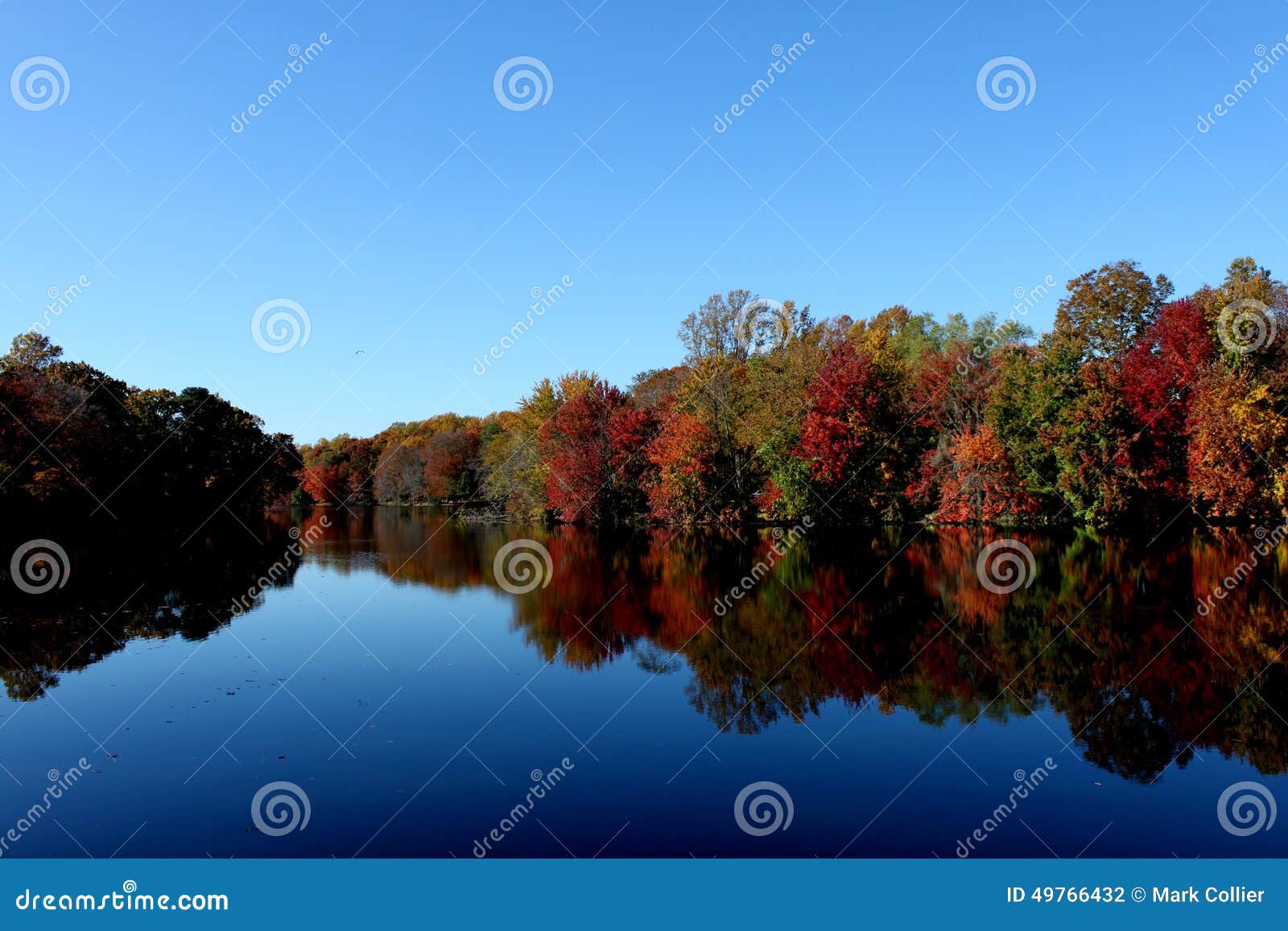 Fall at Moore S Lake Dover Delaware Stock Photo - Image of quiet, fall ...