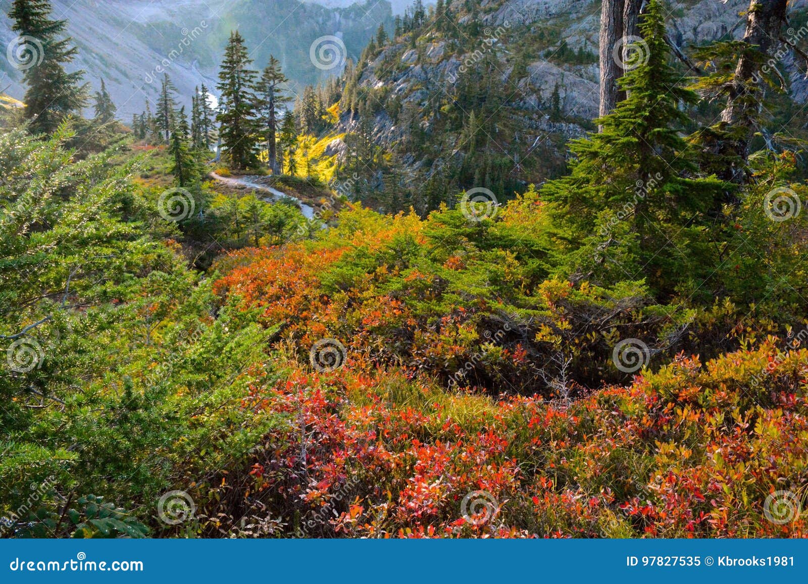 Fall at Mount Baker stock image. Image of washington - 97827535