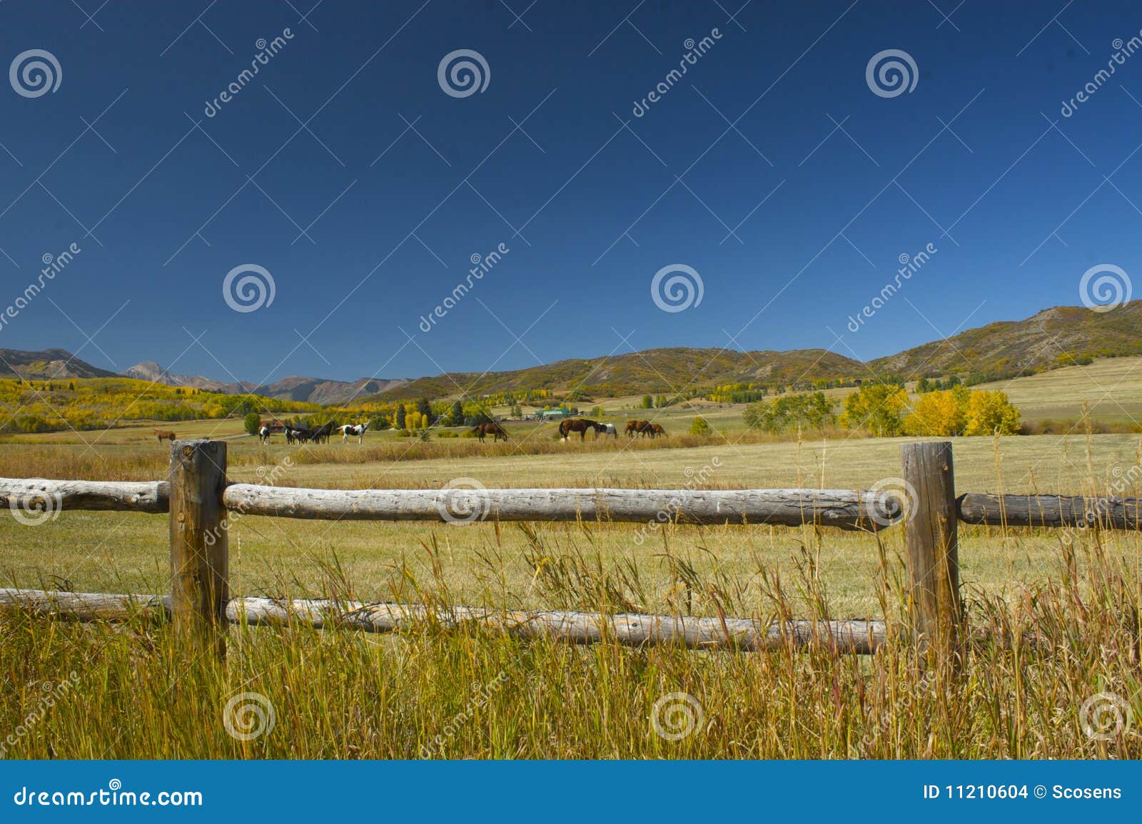 Fall Mountain Ranch Landscape Stock Photo - Image of meadow, fall: 11210604