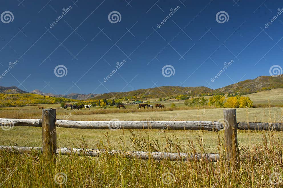 Fall Mountain Ranch Landscape Stock Photo - Image of meadow, fall: 11210604