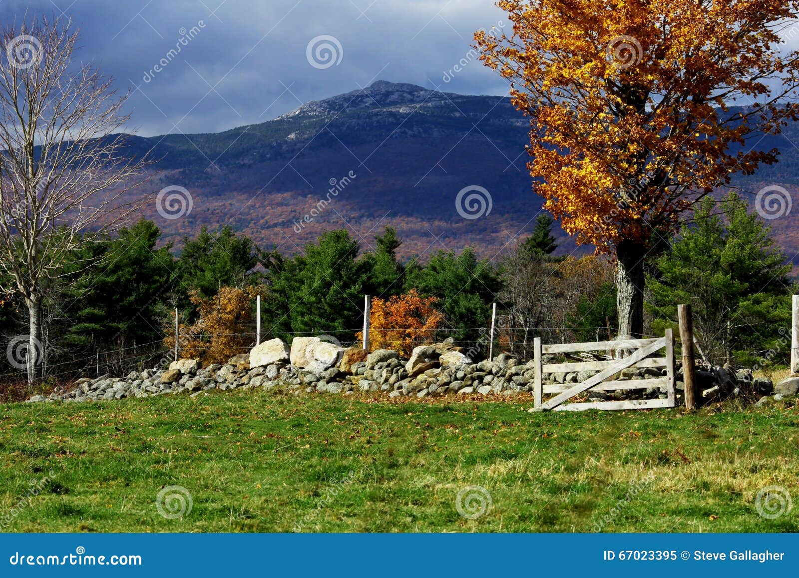Fall stock image. Image of foliage, fall, mountain, view - 67023395