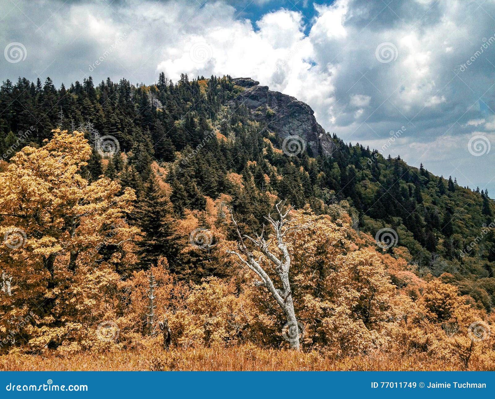 Fall mountain view stock image. Image of fall, background - 77011749