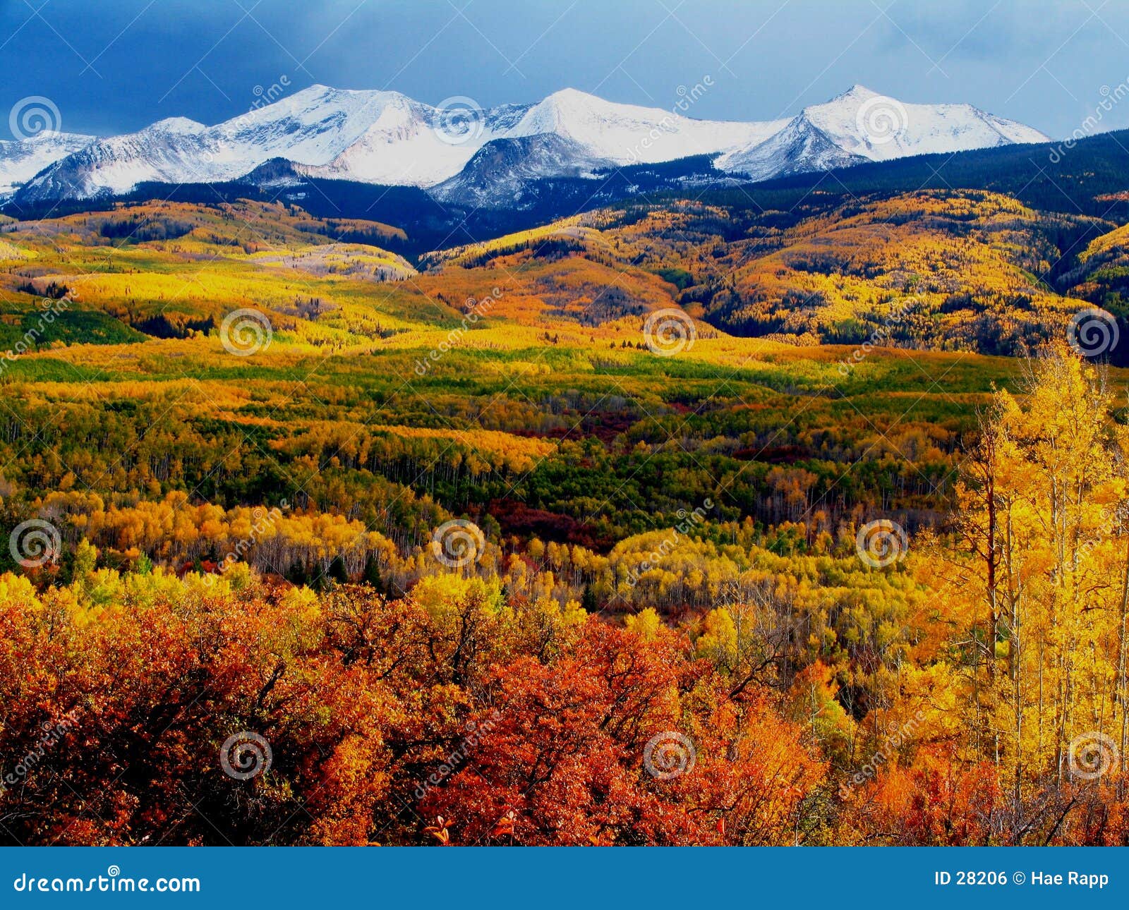 Kebler Pass Fall Mountains stock photo. Image of mountain - 28206