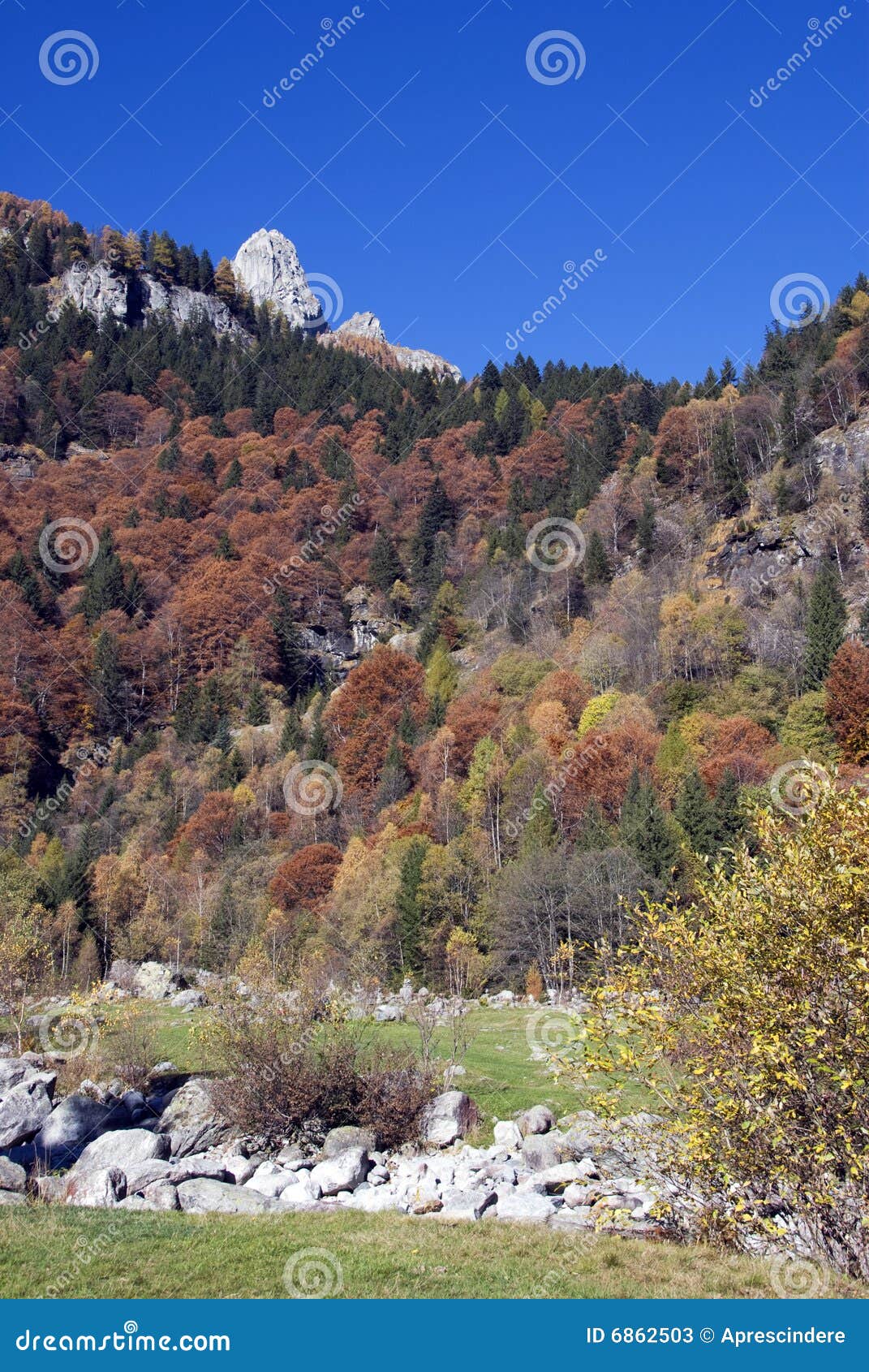 Fall mountains stock image. Image of autumn, environment - 6862503