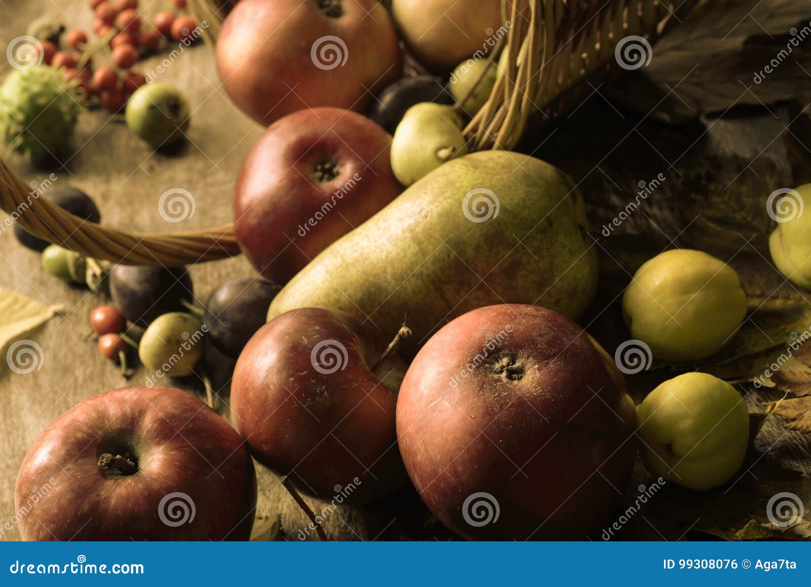 Fall Fruits on Table Still Life Stock Photo - Image of color, gardening ...