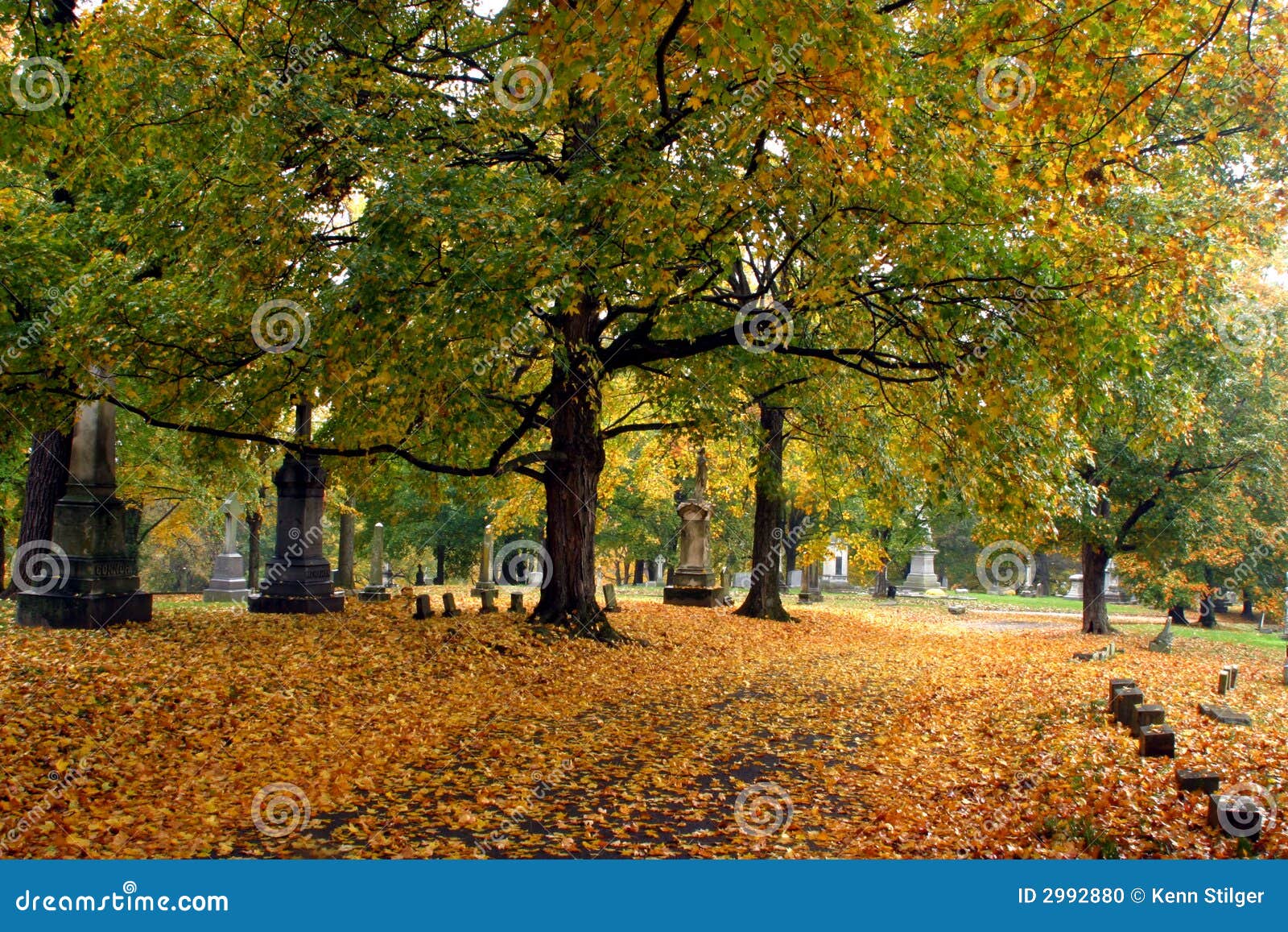 Fall in Nashville stock photo. Image of yellow, leaves - 2992880