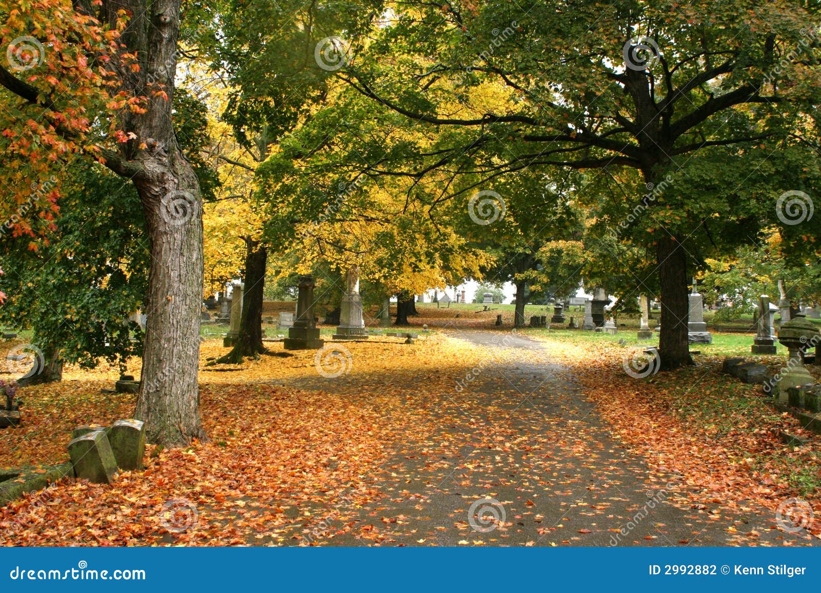 Fall In Nashville Picture. Image: 2992882