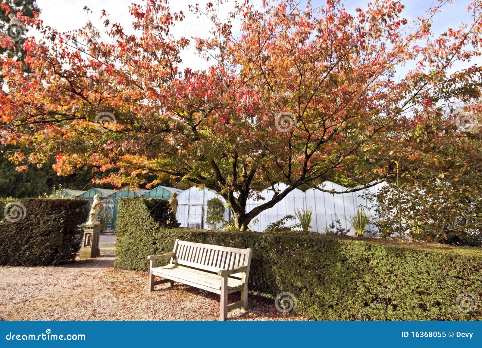 Fall in the Netherlands stock image. Image of cloudscape - 16368055
