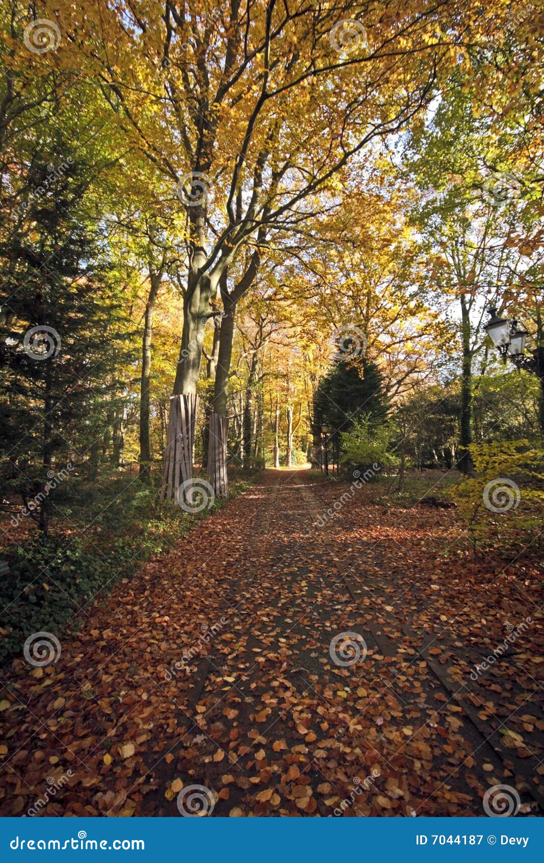 Fall in the Netherlands stock image. Image of leaf, scenic - 7044187