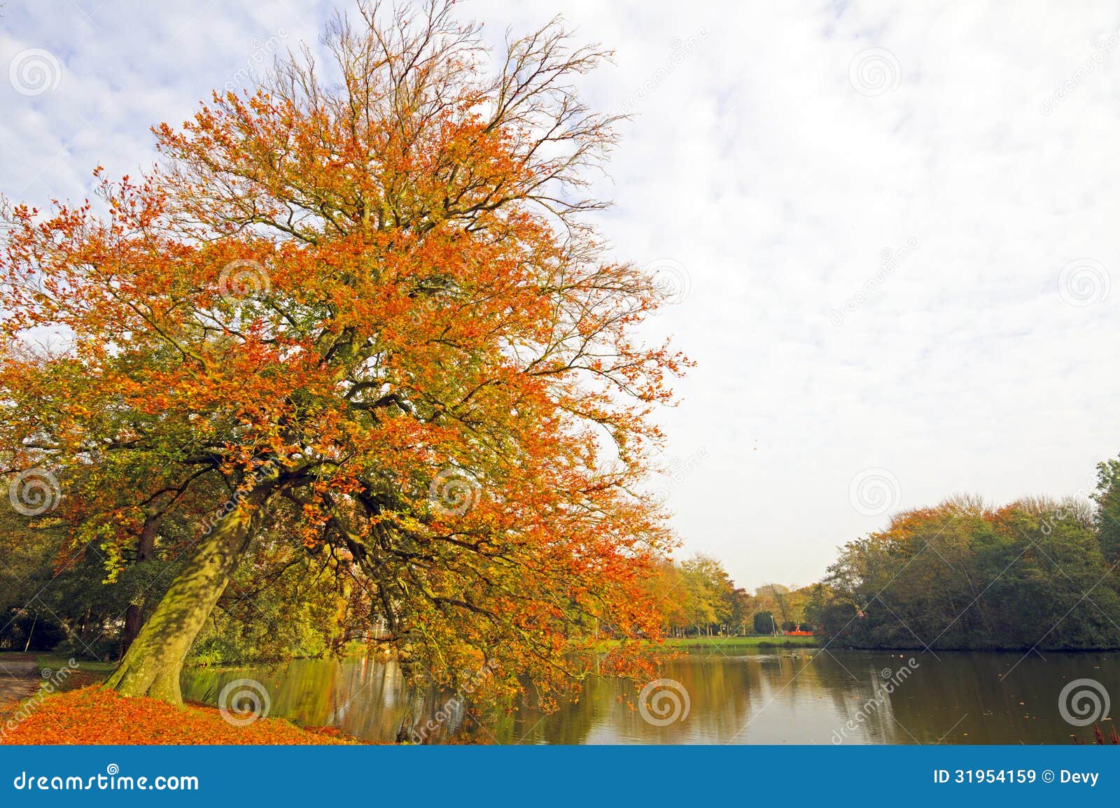 Fall in the Netherlands stock image. Image of outdoor - 31954159