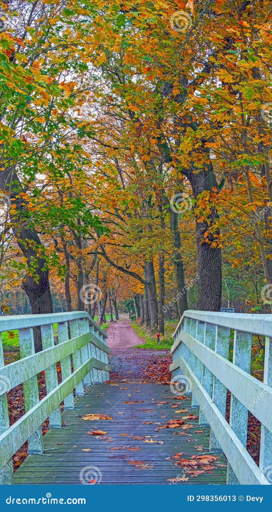 Fall in the Netherlands Europe Stock Image - Image of october ...