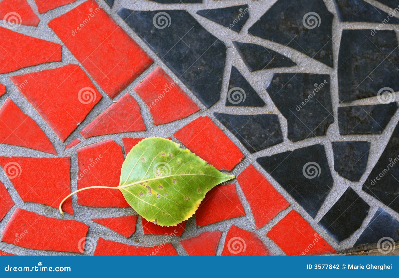 Fall in New Mexico stock photo. Image of seasons, edge - 3577842