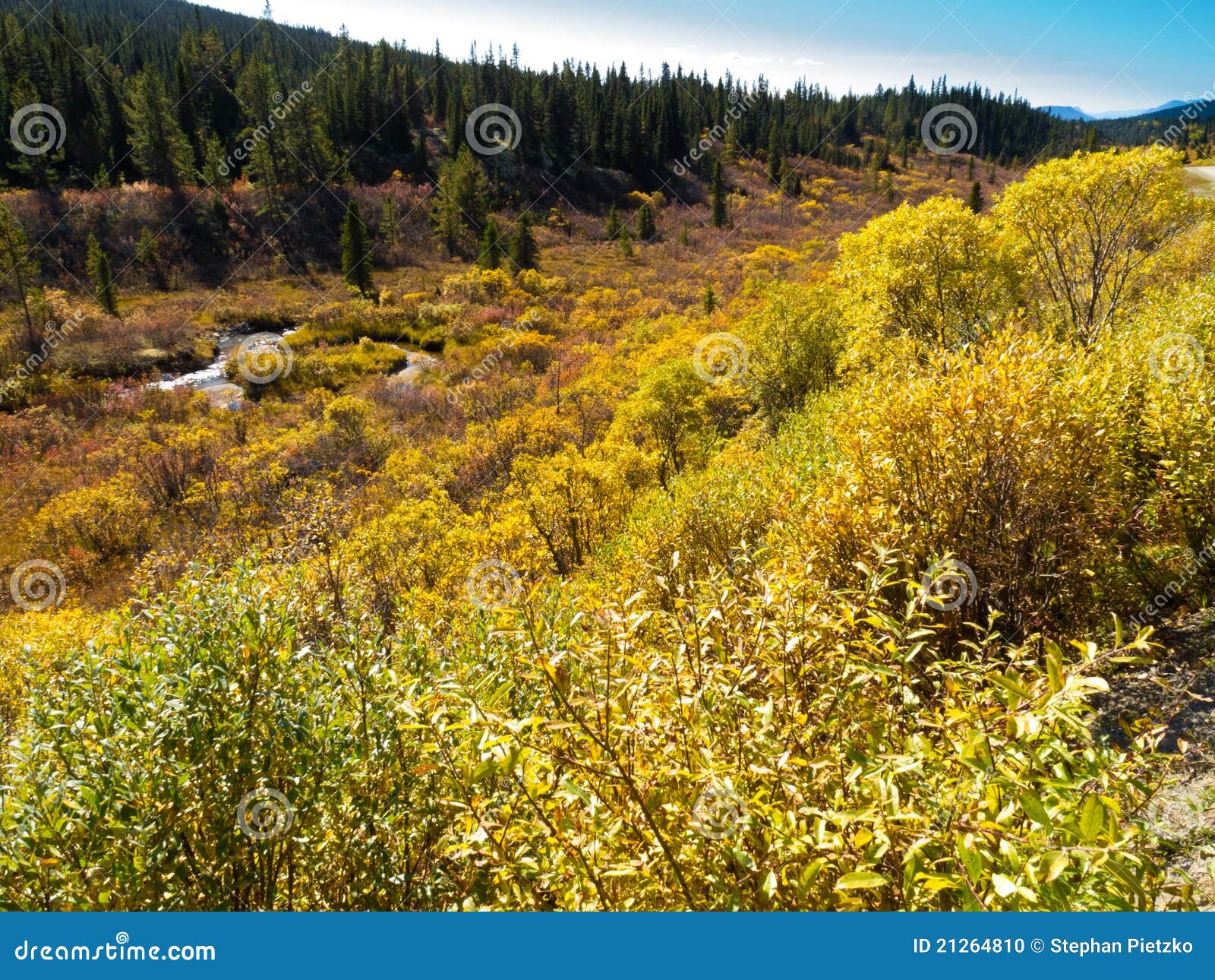 Fall in Northern Wilderness, Yukon T, Canada Stock Photo - Image of ...