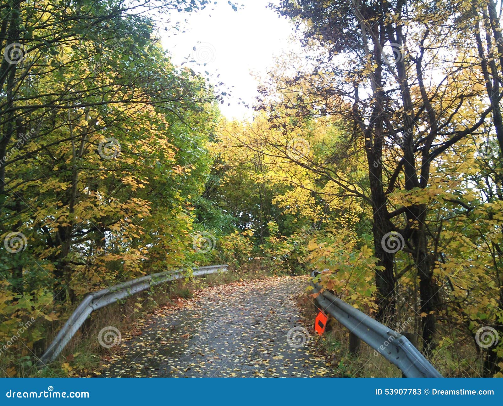 Fall in Norway stock image. Image of southern, norway - 53907783