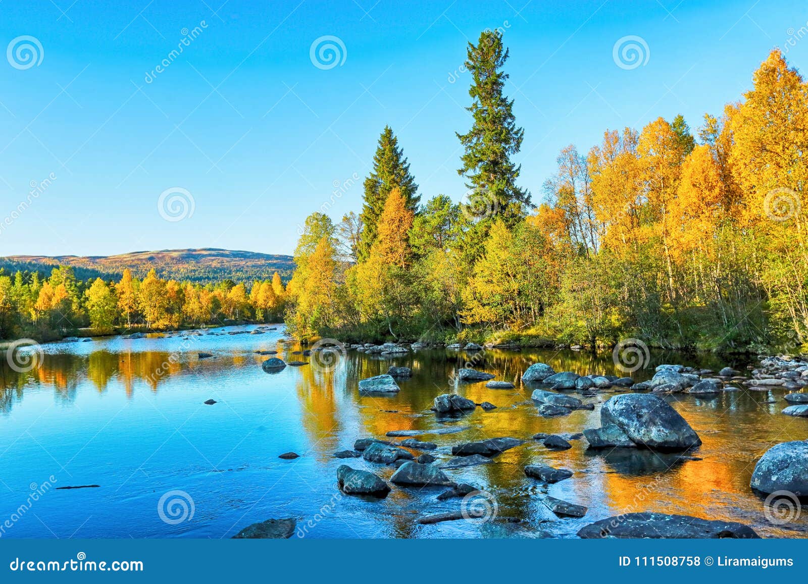 Fall in Norway stock photo. Image of inna, valley, norway - 111508758