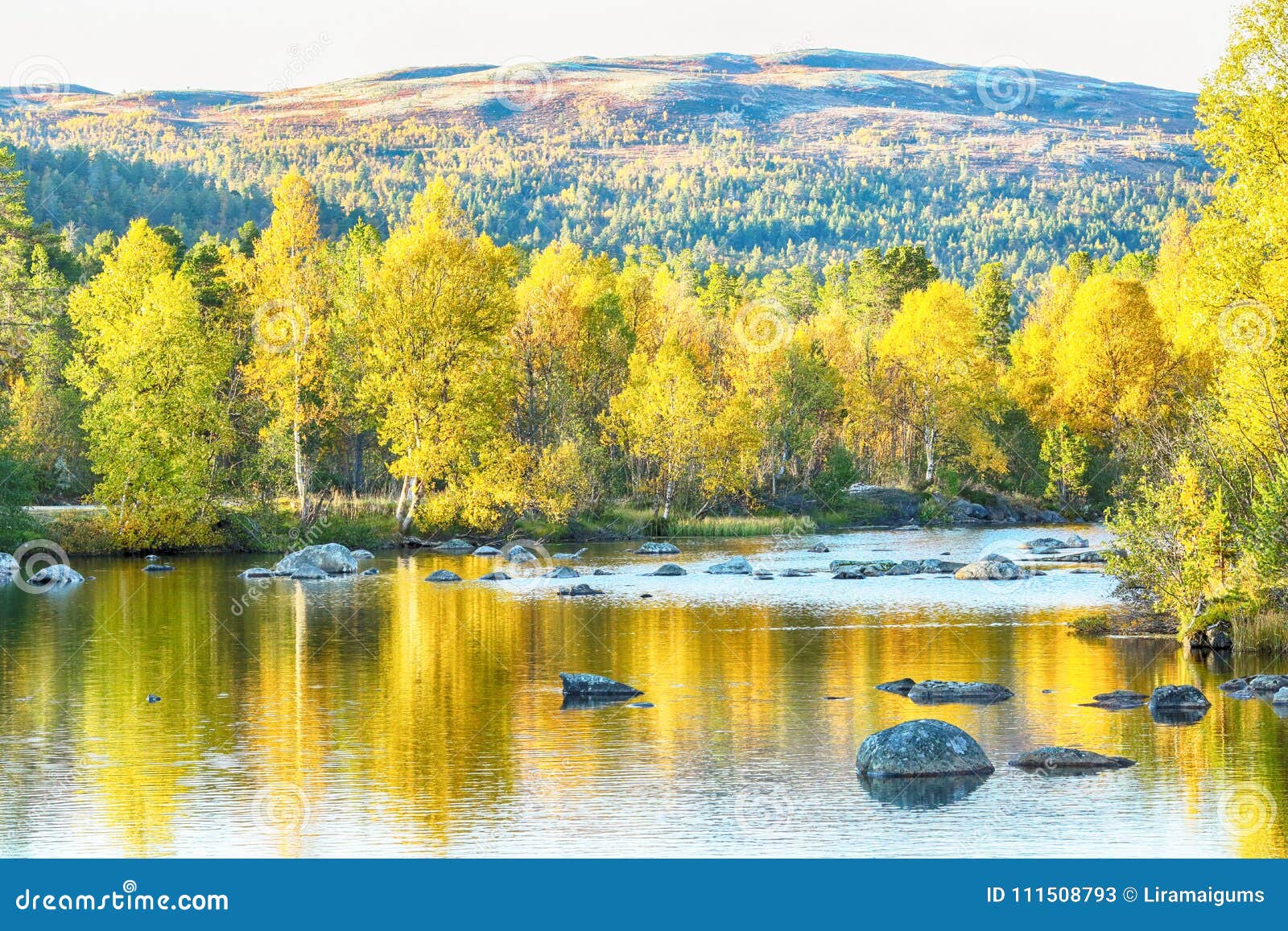 Fall in Norway stock image. Image of landscape, norwegian - 111508793