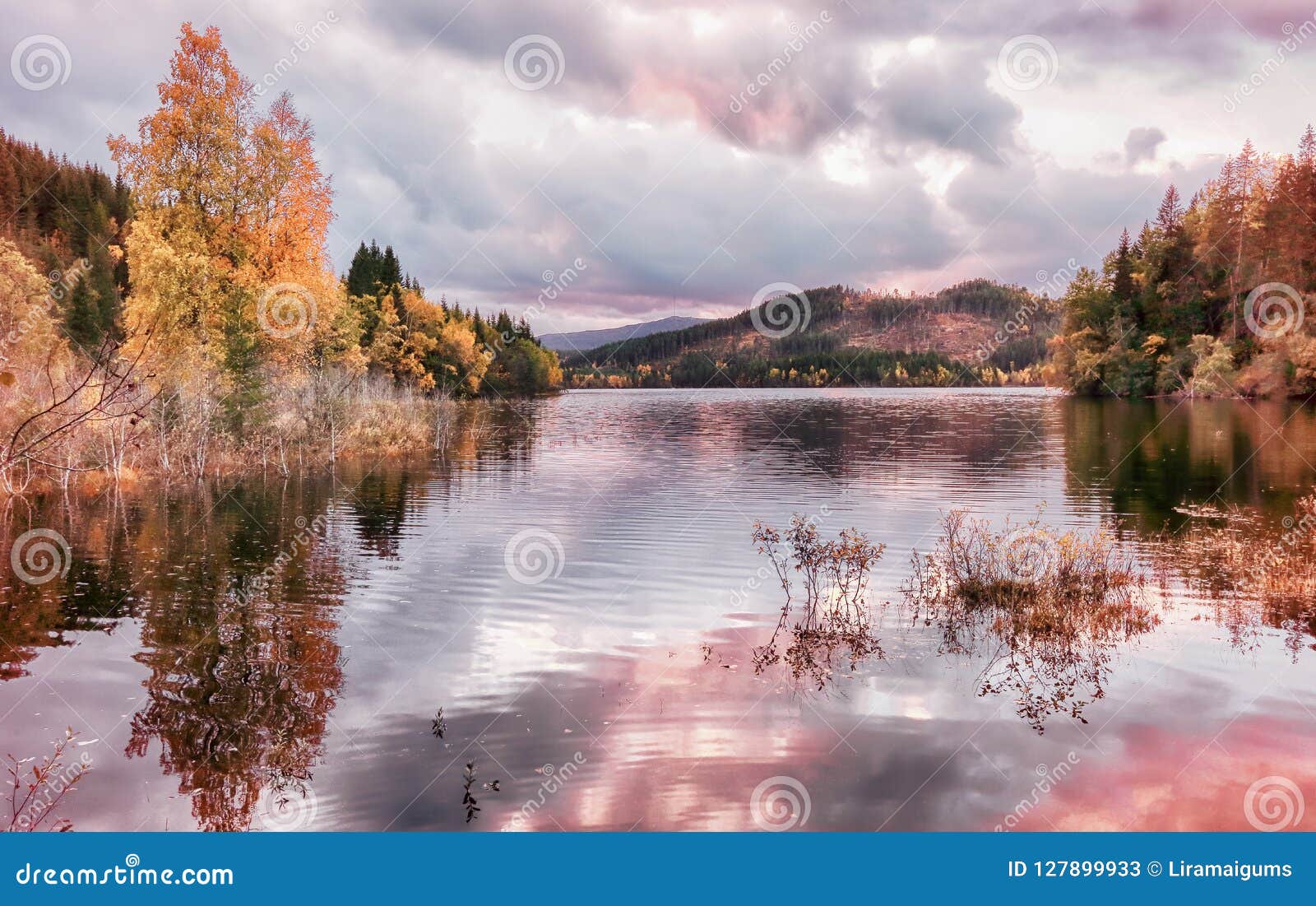 Norwegian fall stock image. Image of water, norway, sunset - 127899933
