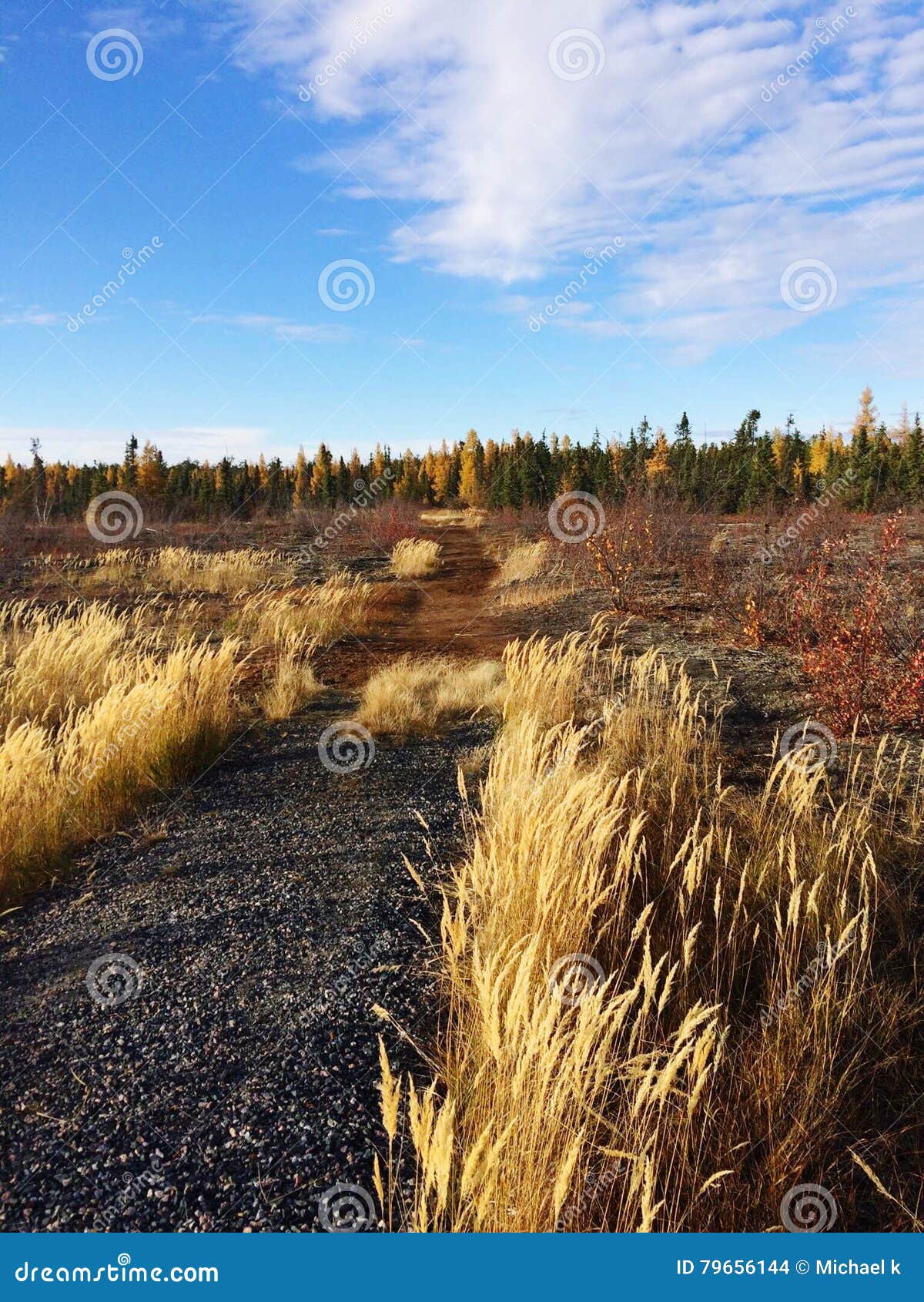 Fall NWT hike stock photo. Image of wilderness, hike - 79656144