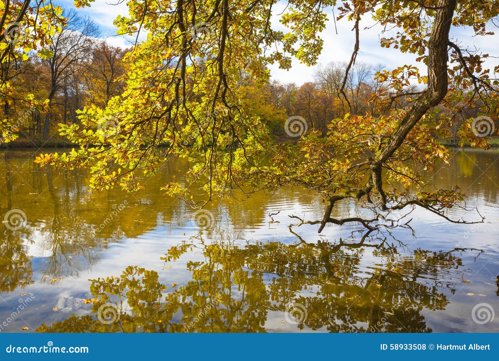 Fall in Nymphenburg stock photo. Image of green, pasture - 58933508