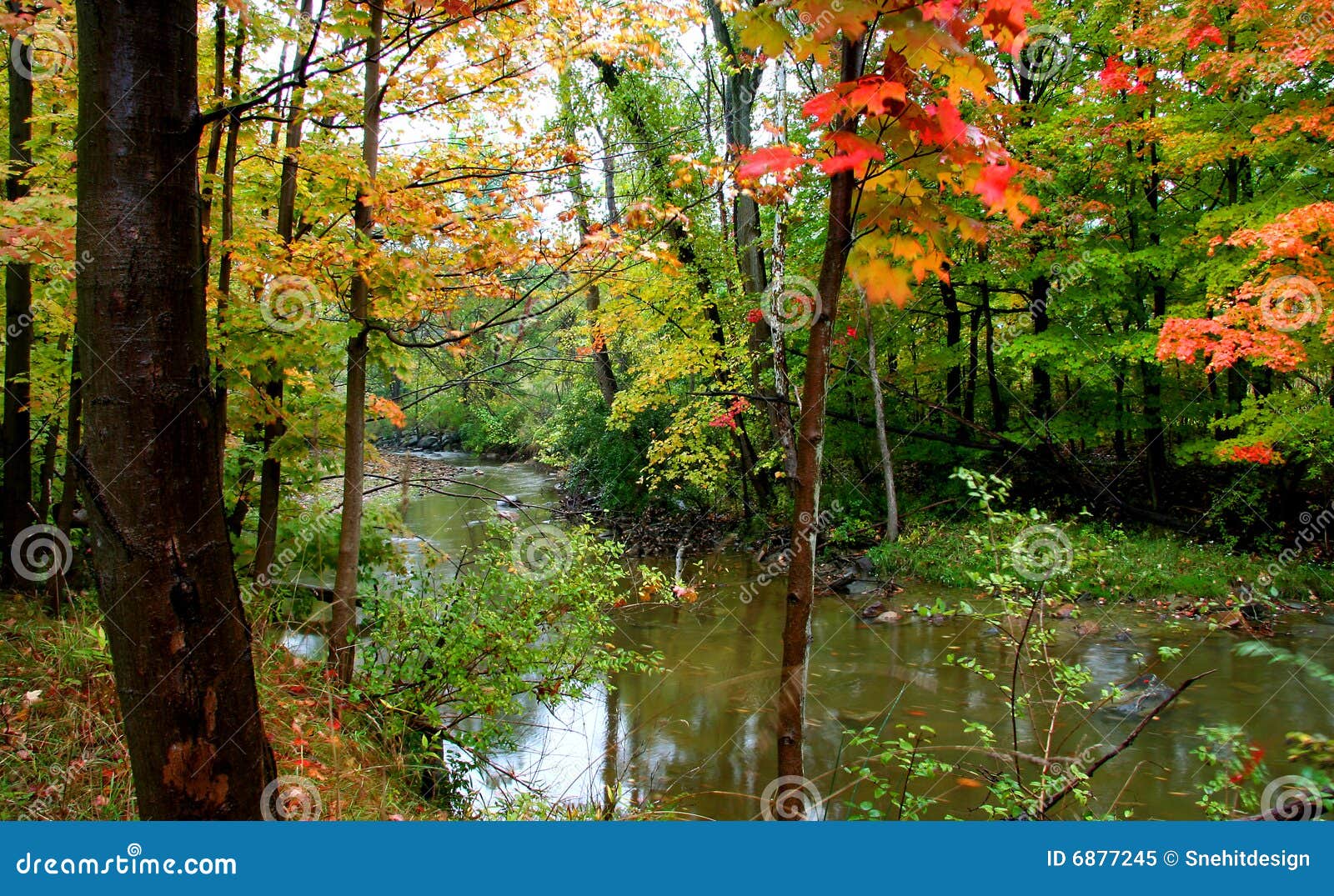 Fall in Ohio stock image. Image of water, cuyahoga, park - 6877245