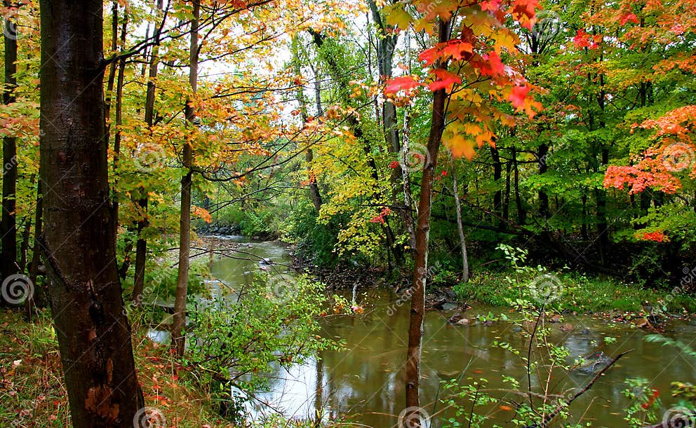 Fall in Ohio stock image. Image of water, cuyahoga, park - 6877245