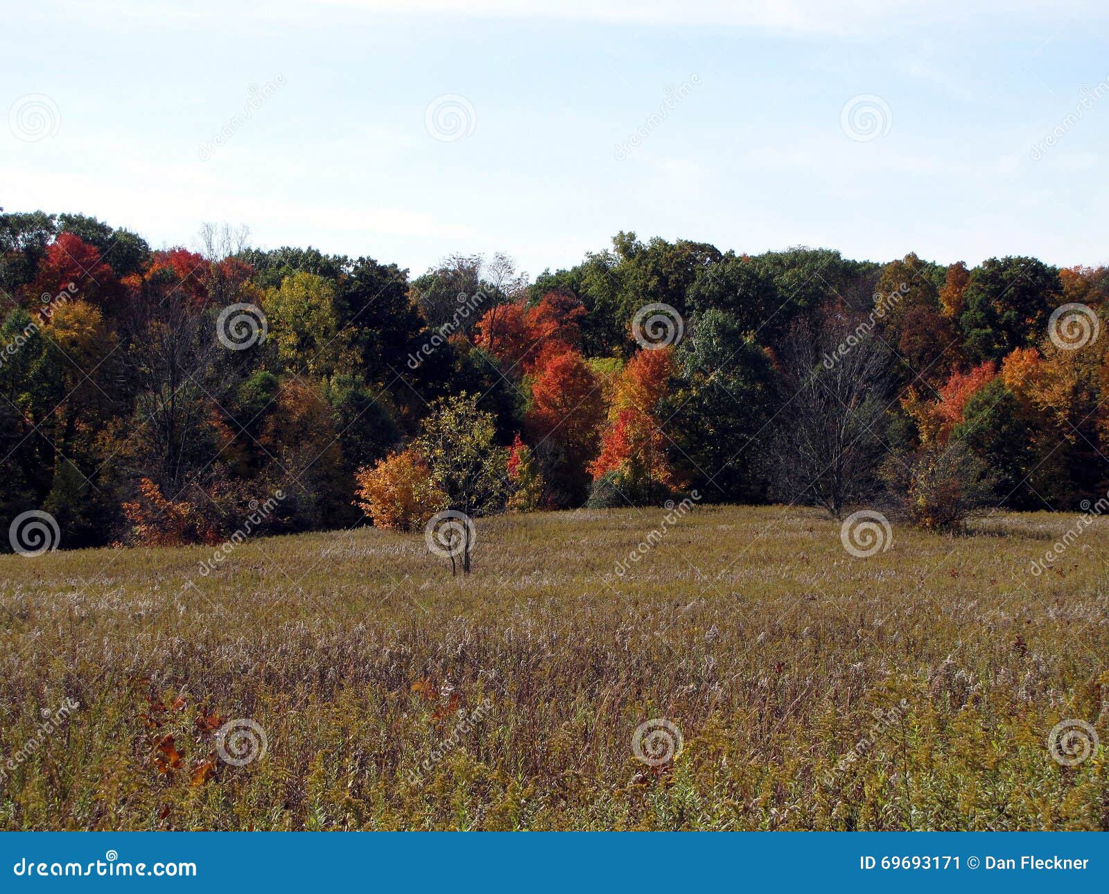 Fall in Ohio stock image. Image of changing, ohio, autumn - 69693171