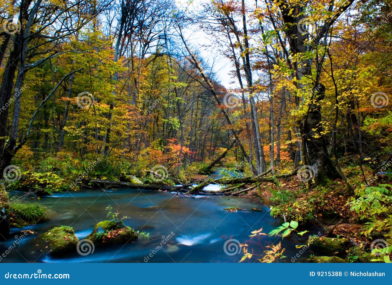 Fall of Oirase, Japan stock photo. Image of layered, landscape - 9215388
