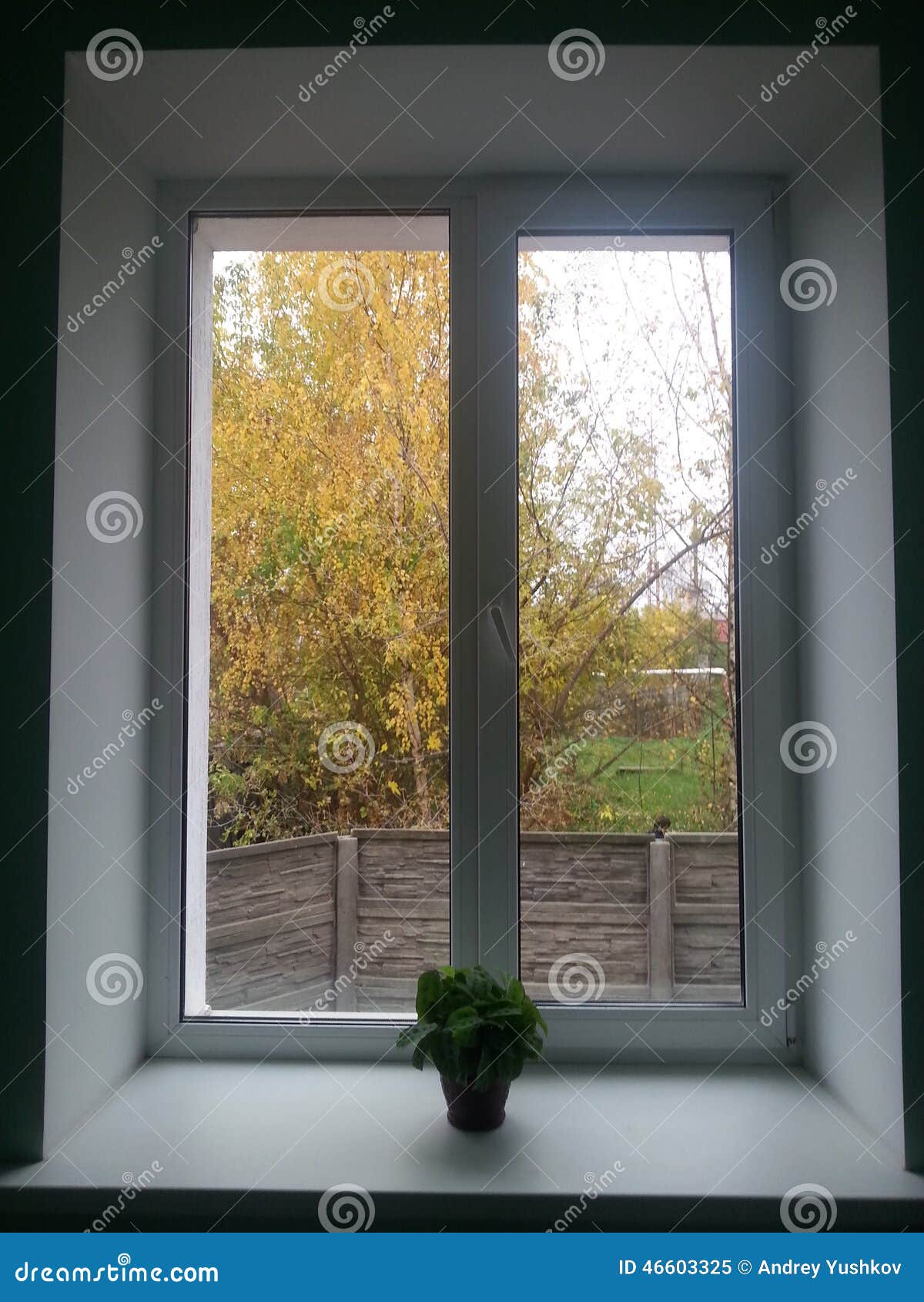 Fall outside the window editorial image. Image of outside - 46603325