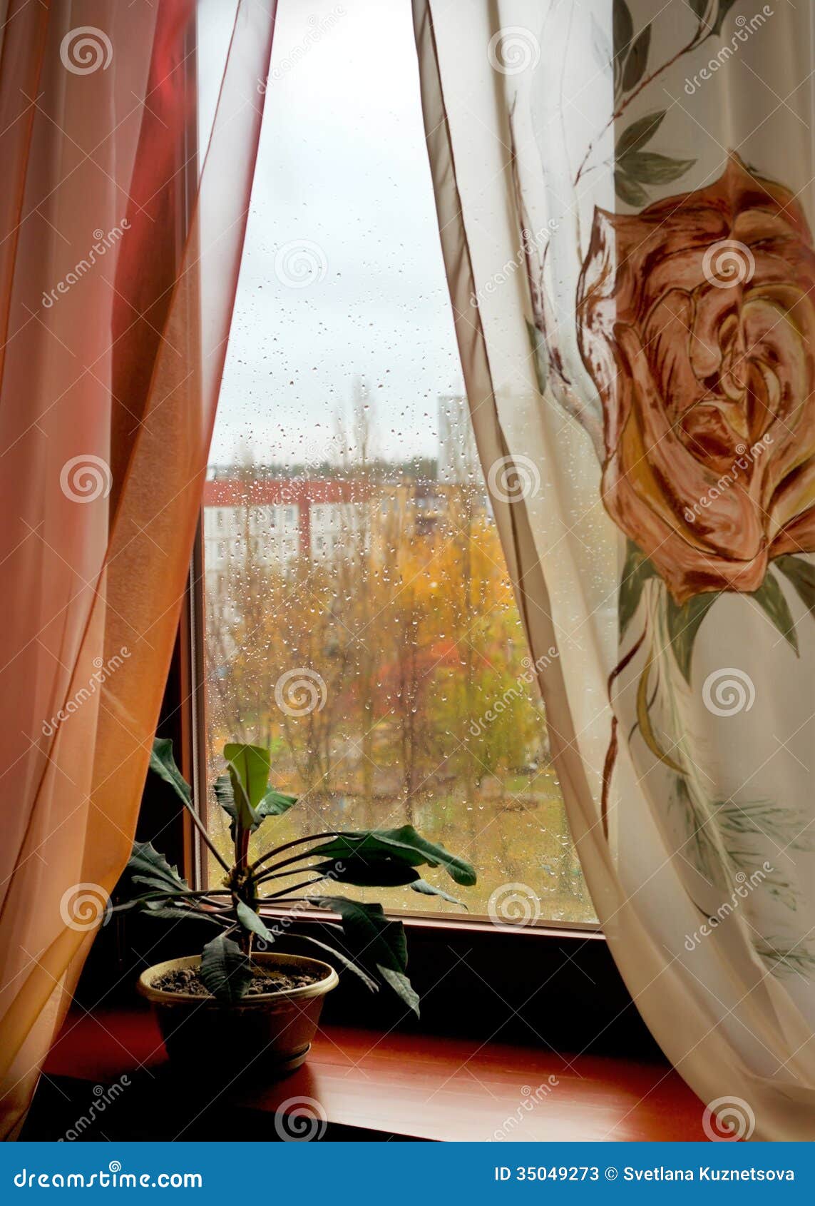 Fall outside the window stock image. Image of rainy, curtain - 35049273