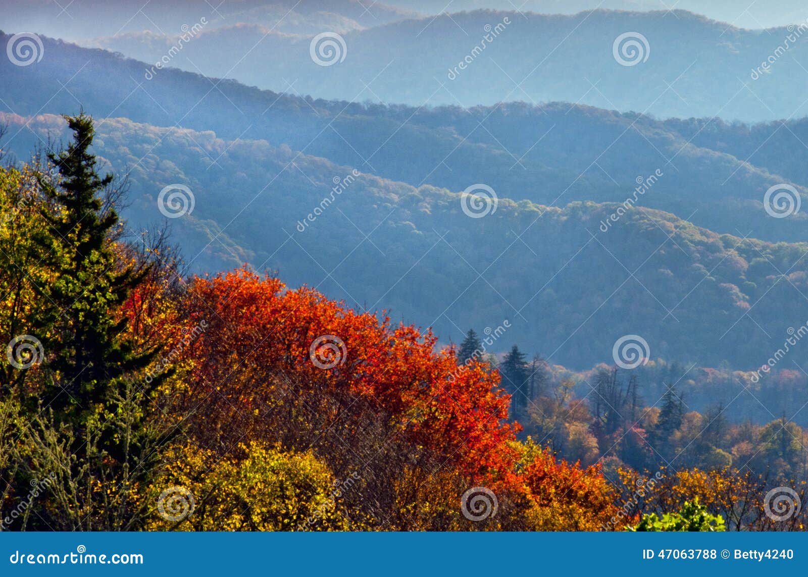 Fall Overlook in the Great Smoky Mountains. Stock Photo - Image of fall ...