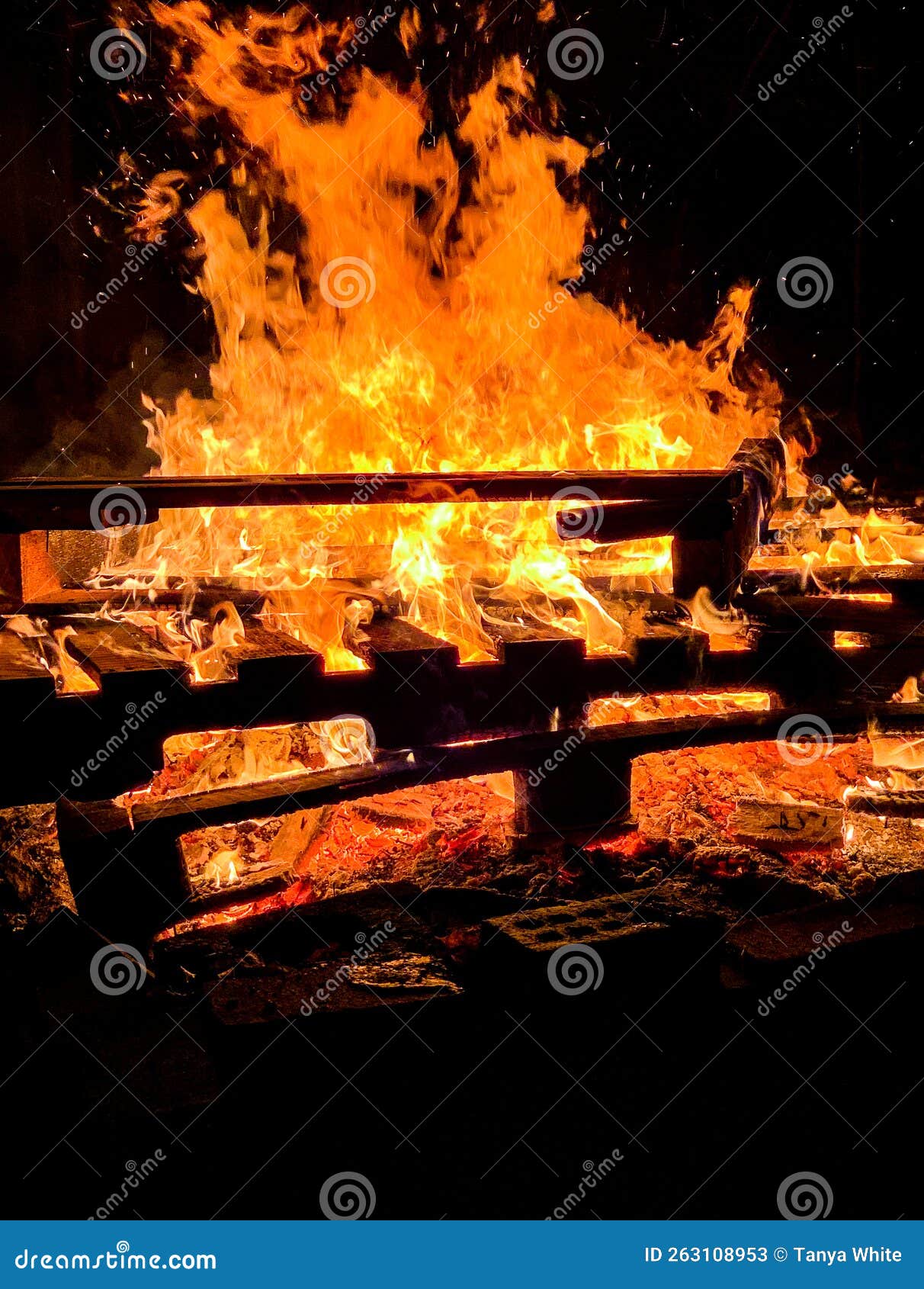 Fall 2022 - Pallet Bonfire in the Woods on a Windy Day Stock Image ...