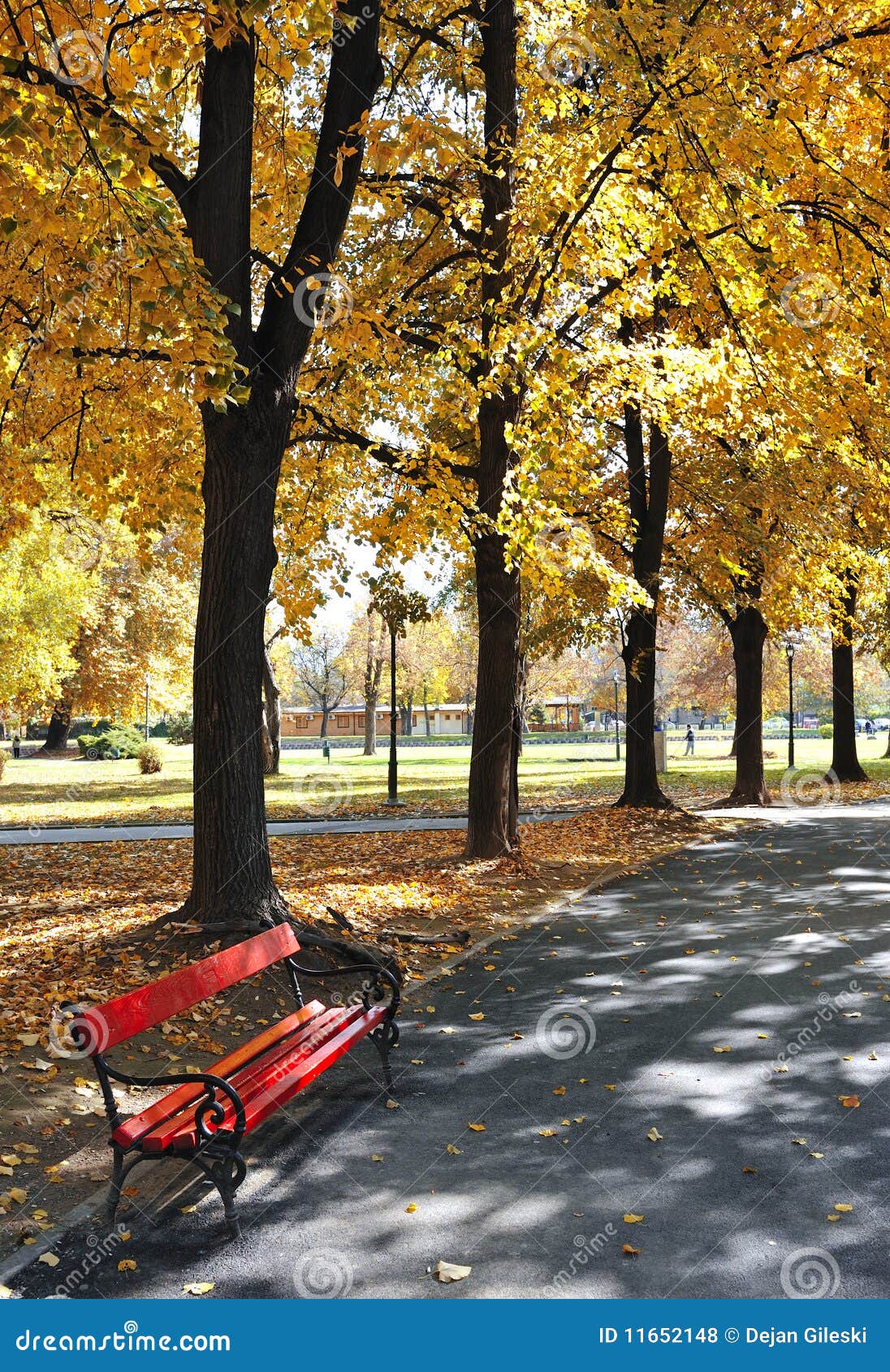 Fall in the park stock photo. Image of pristine, ground - 11652148