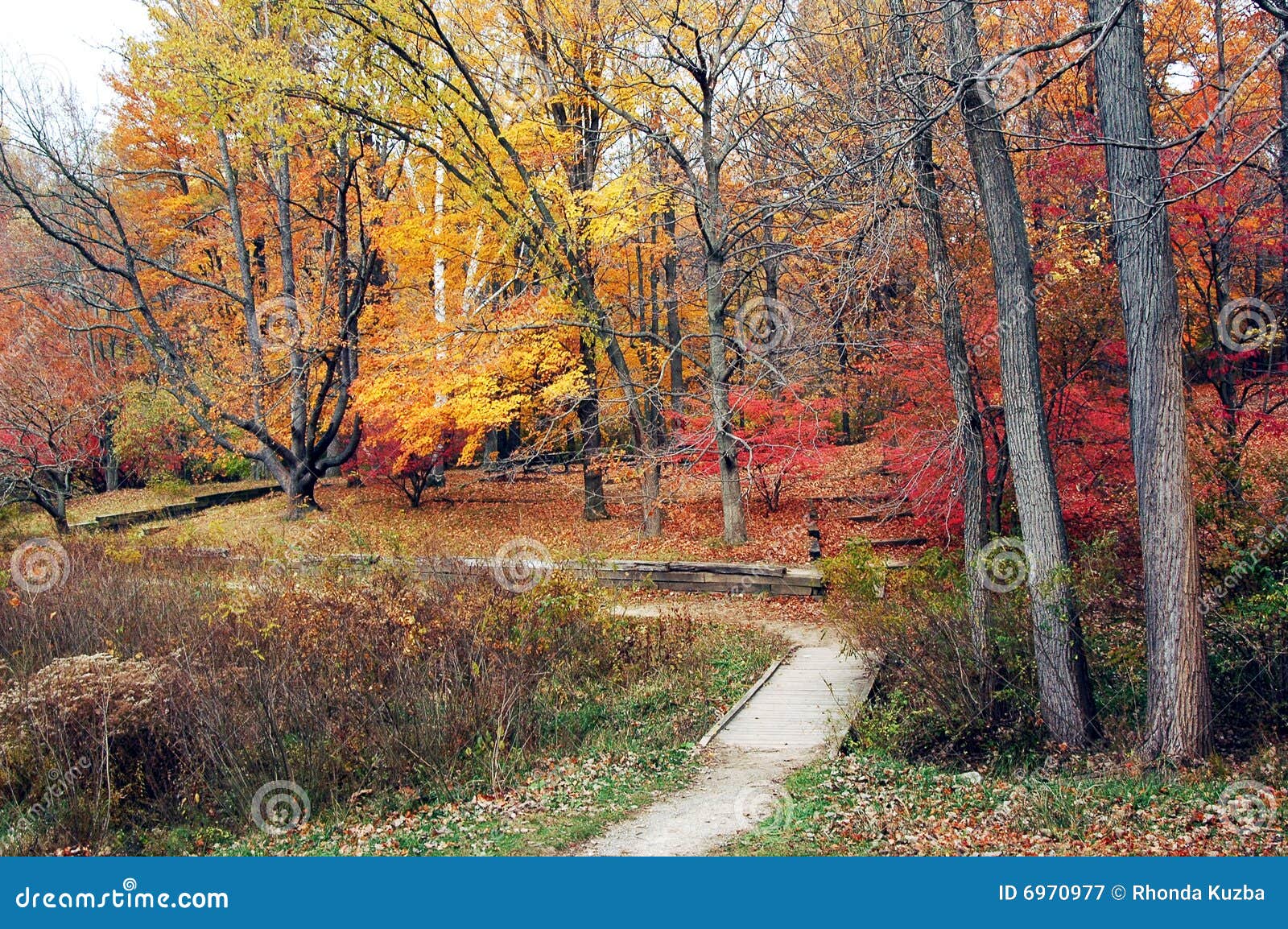 Fall in the Park stock image. Image of gold, landscape - 6970977