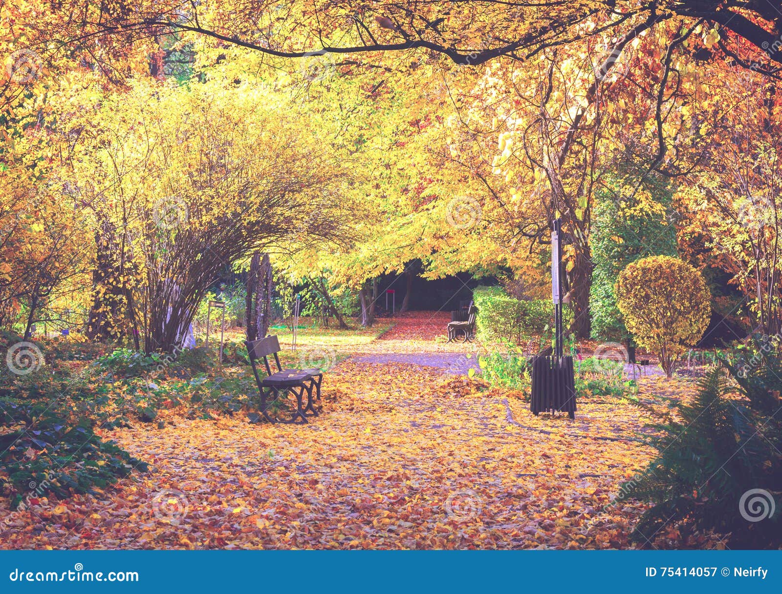 Fall park path stock image. Image of foliage, plant, bench - 75414057