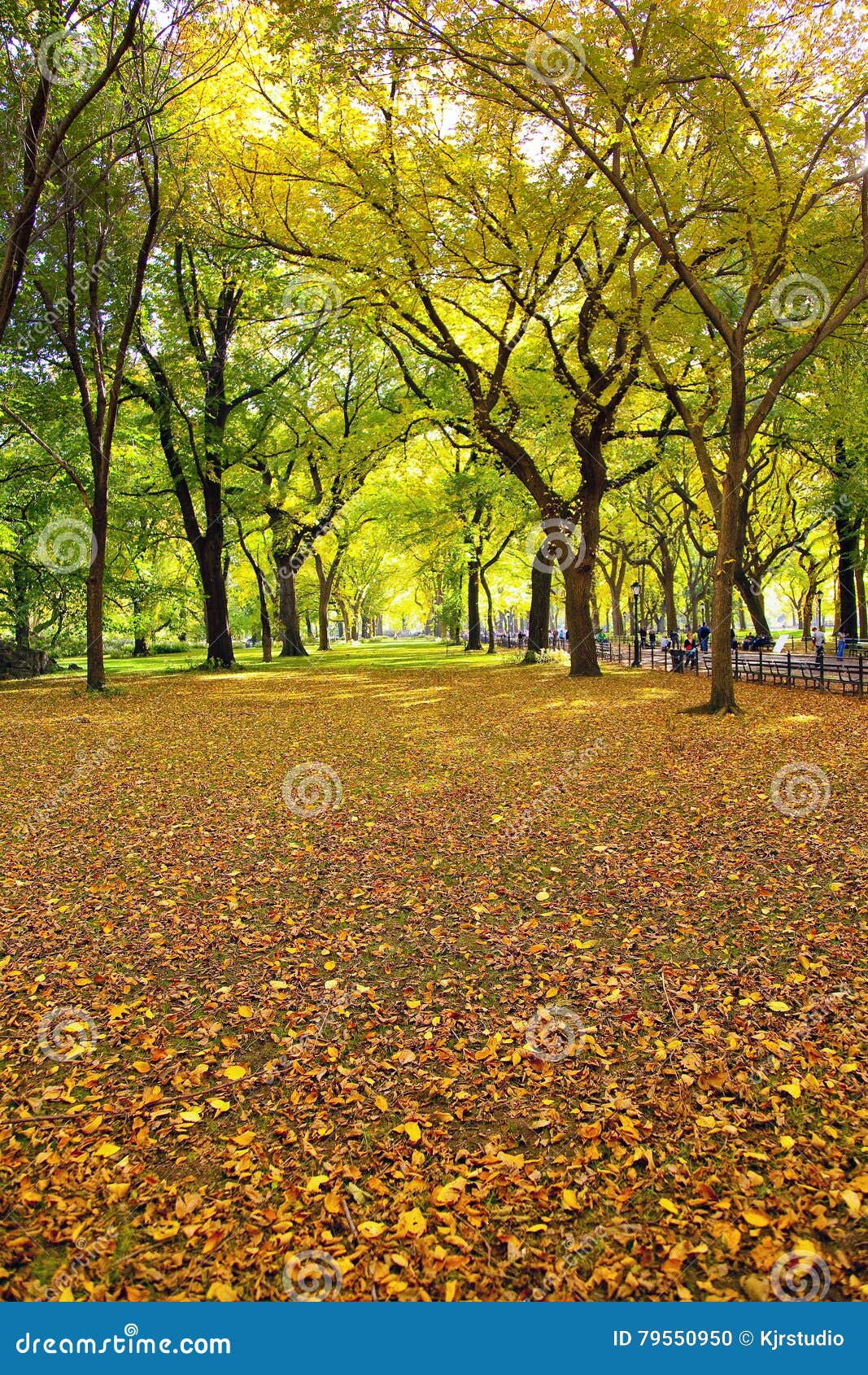 Fall Park Setting with Leaves Editorial Image - Image of design ...