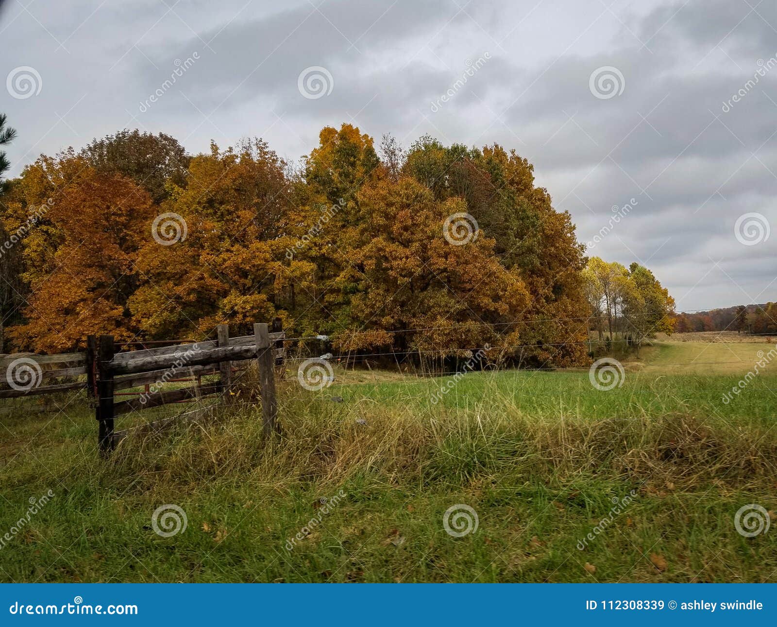 Fall pasture stock image. Image of trees, fall, pasture - 112308339