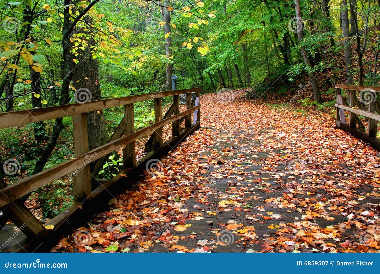 Fall Path stock image. Image of landscape, beauty, bridge - 6859507