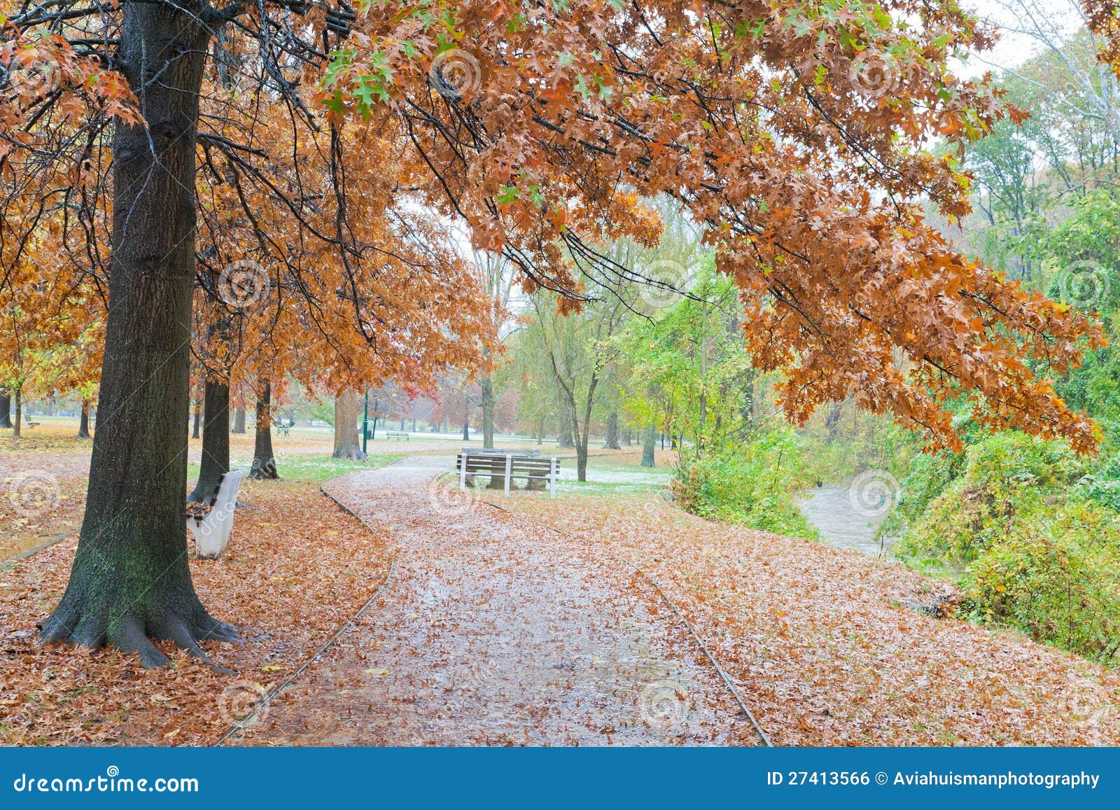 Fall Path by the Creek stock photo. Image of fall, gold - 27413566