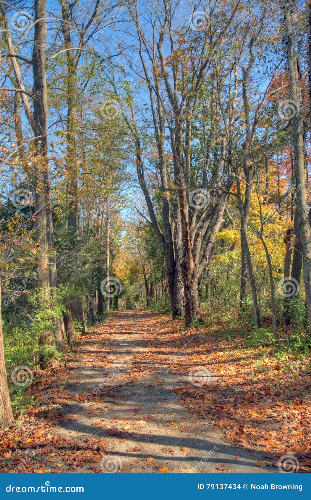 Fall Path stock photo. Image of converted, travel, path - 79137434
