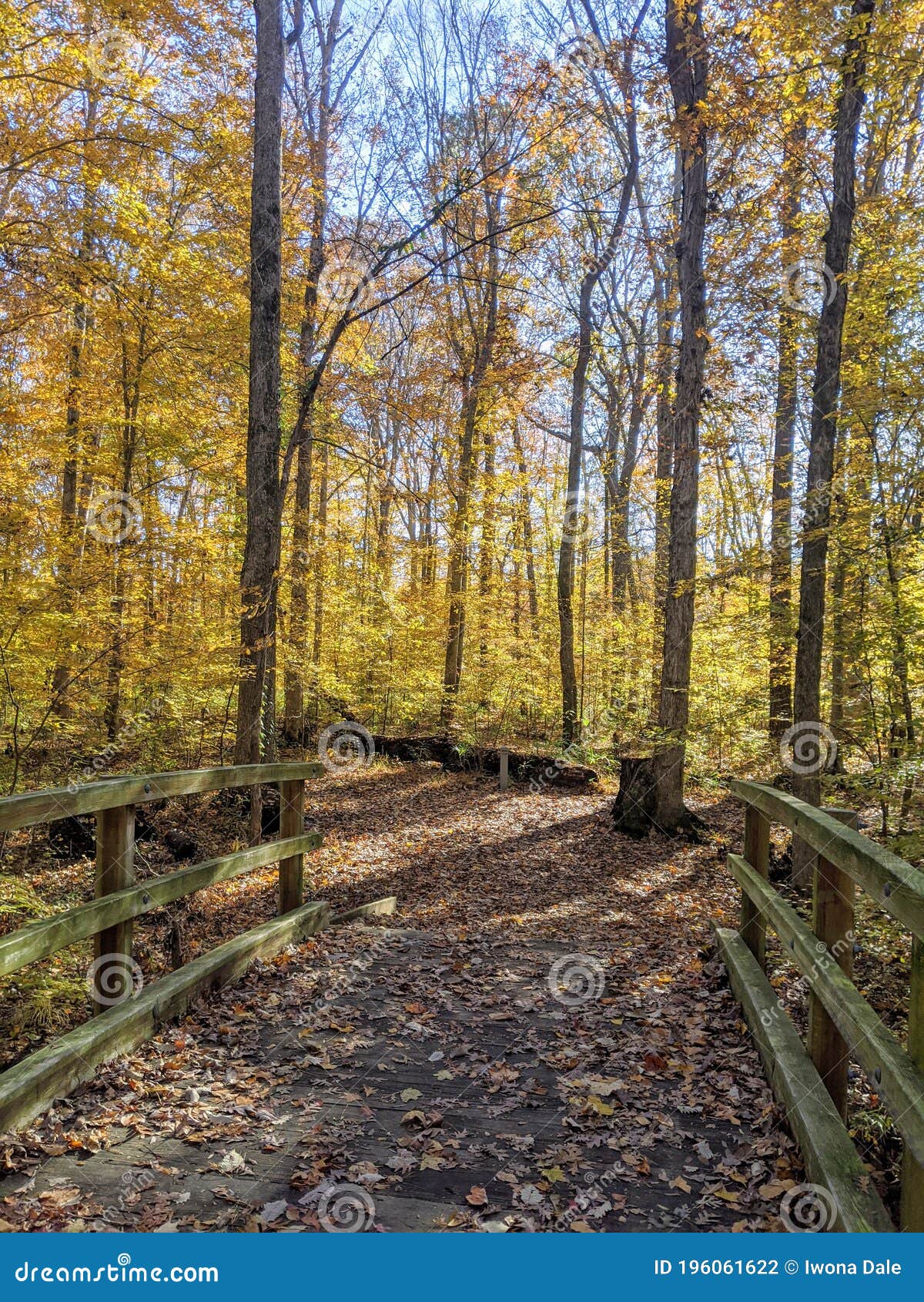 Fall path through the park stock photo. Image of bright - 196061622