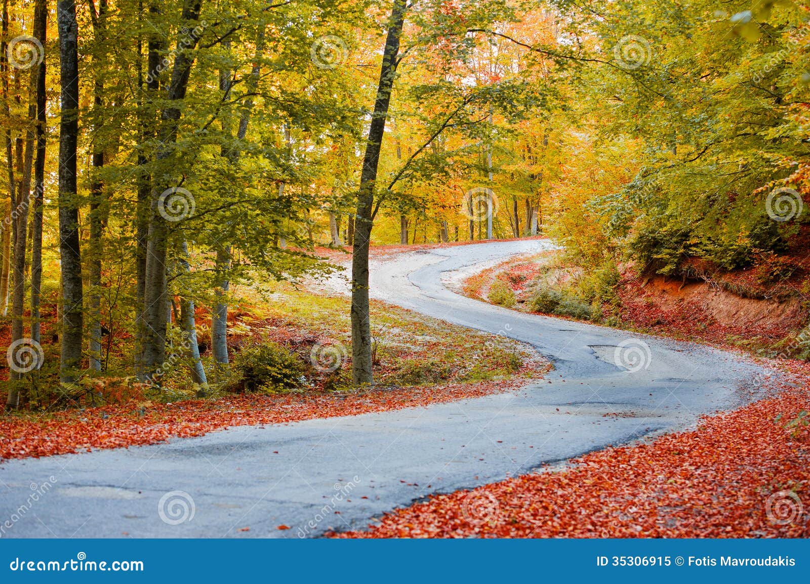Fall path stock image. Image of color, natural, change - 35306915