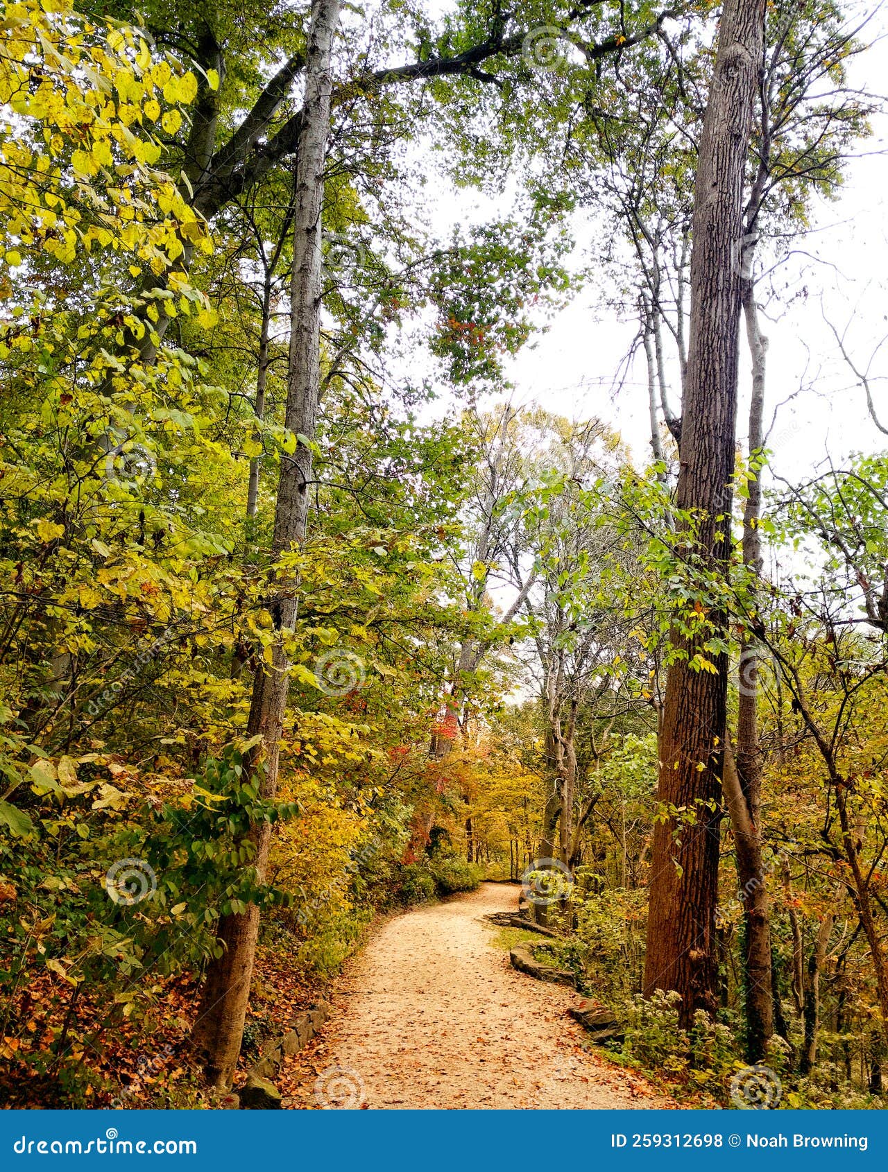 Fall Path stock photo. Image of october, gravel, trail - 259312698