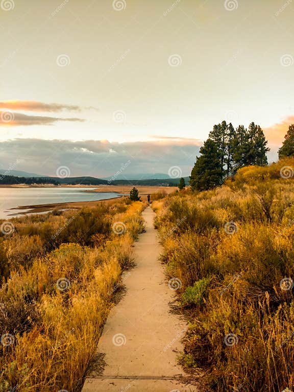 Fall pathway stock image. Image of trees, colorful, calm - 60782589