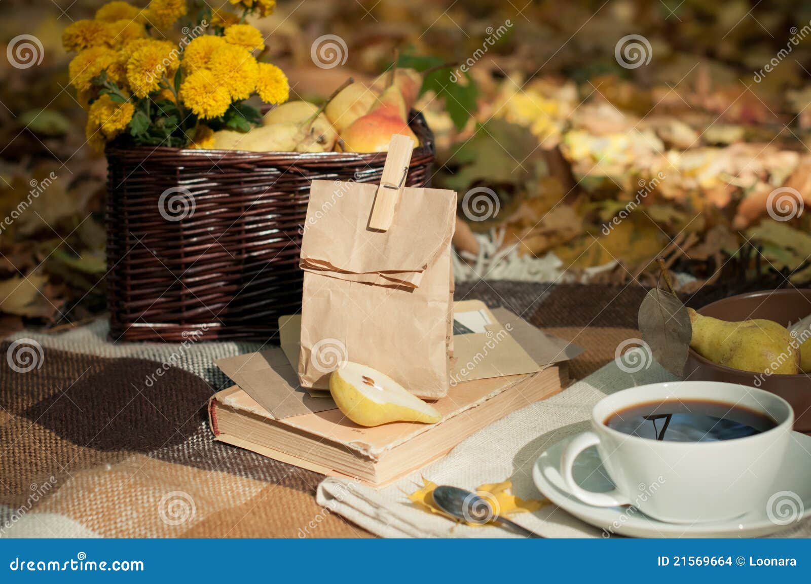 Fall picnic stock photo. Image of brown, lunch, foods - 21569664