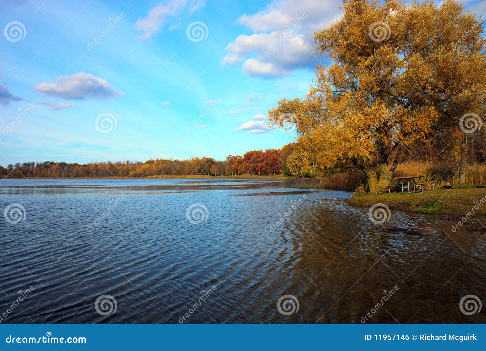Fall pond stock photo. Image of calm, seasonal, serene - 11957146
