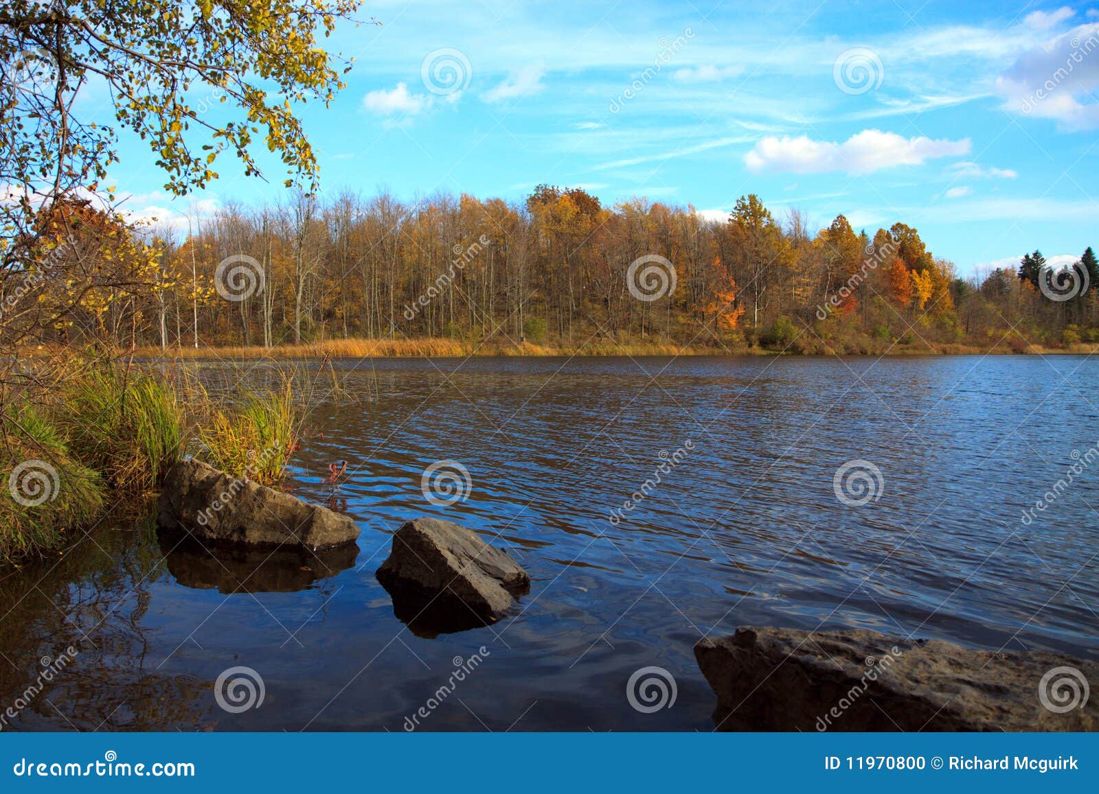 Fall pond stock photo. Image of autumn, lake, pond, copy - 11970800