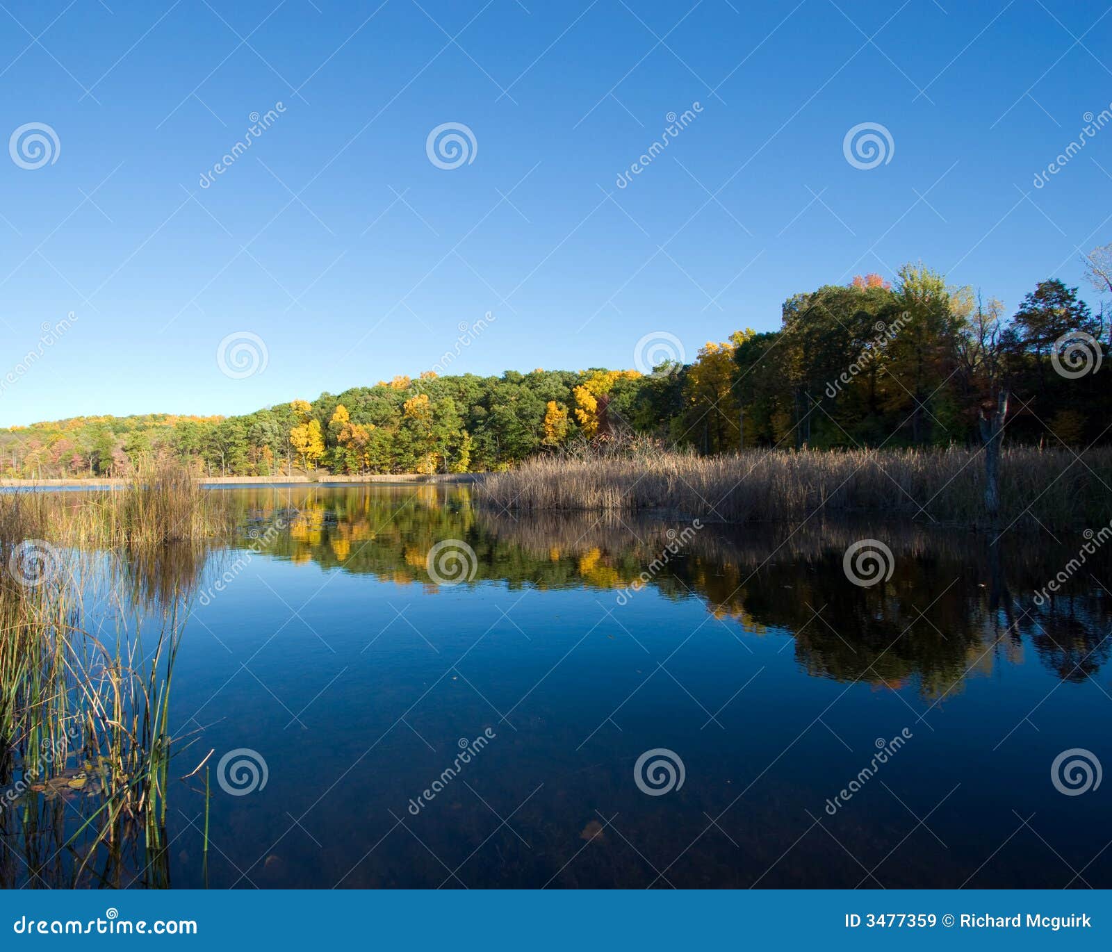 Fall Pond stock image. Image of fall, landscape, brown - 3477359